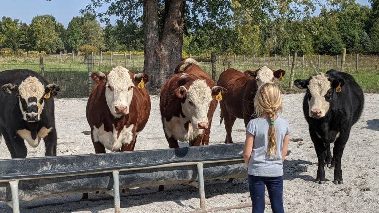 Important: Keep an Up-To-Date Farm Inventory List - Hedman Anglin Agency